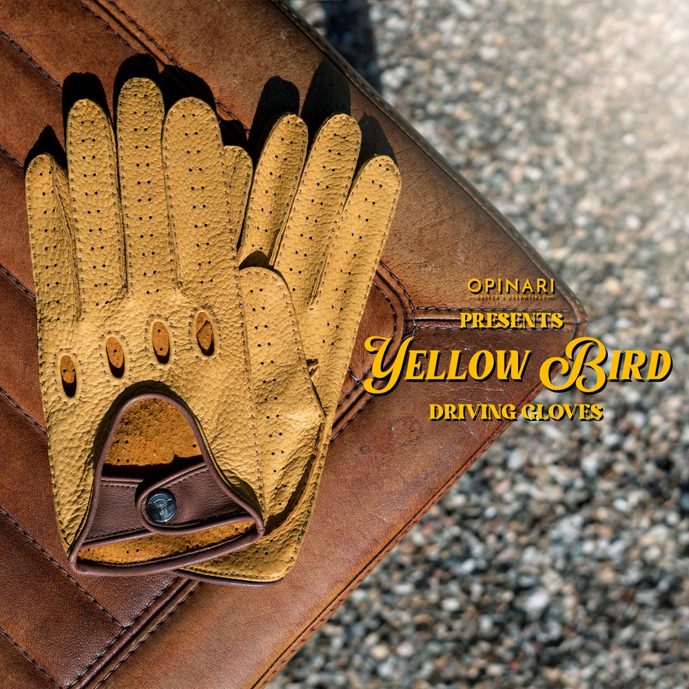 Yellow(retro) Bird - Brown men's driving gloves